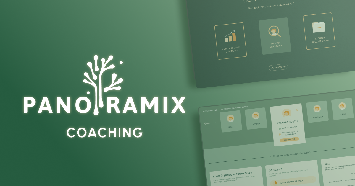 Panoramix Coaching | Le secret bien gardé des coachs TI